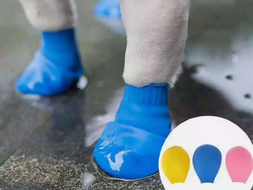 Обувь для собаки