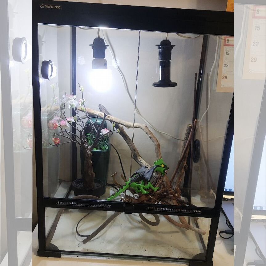 Террариум для хамелеона 60х45х45