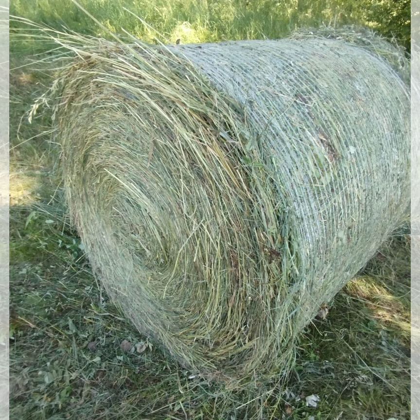 Сено луговое в рулонах
