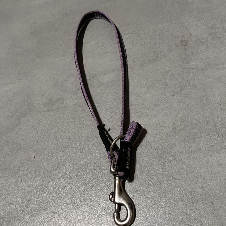 Поводок-водилка