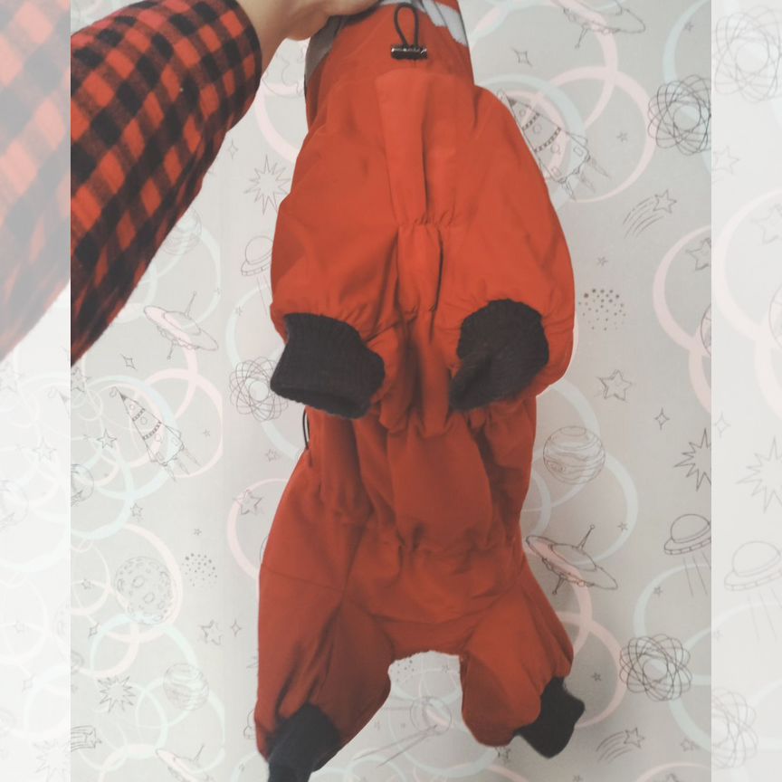 Зимний комбинезон на собаку девочку