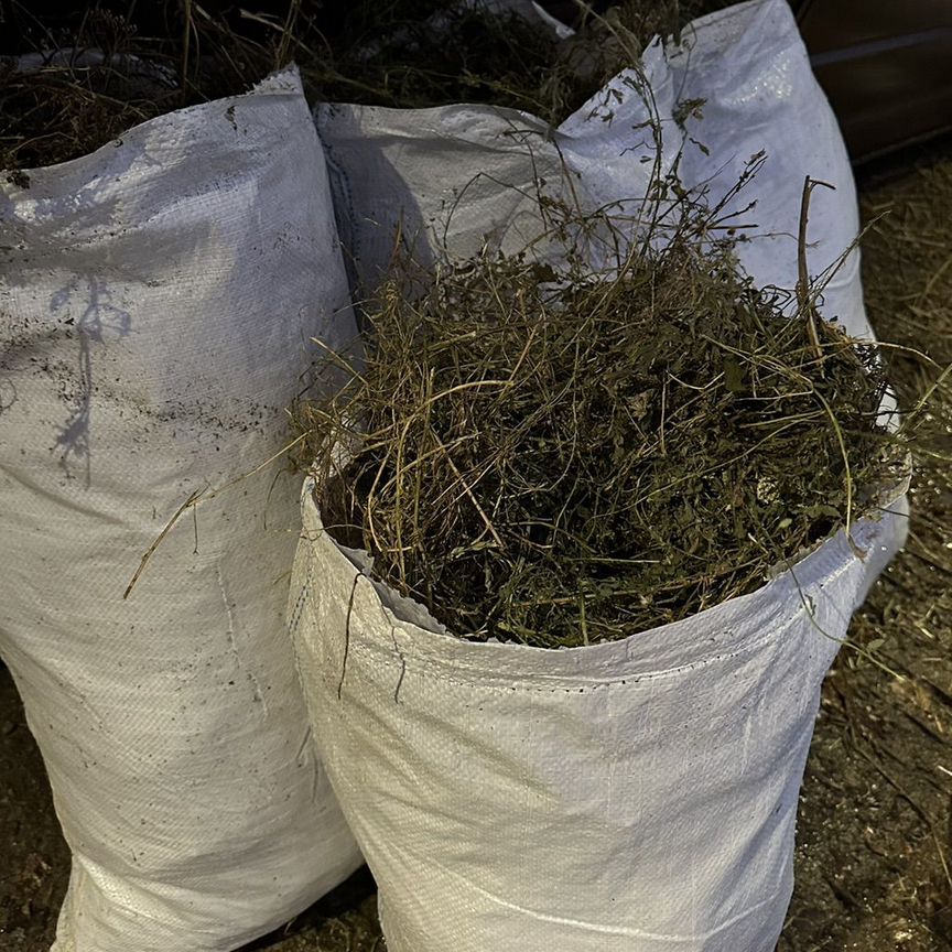 Сено люцерны в мешках