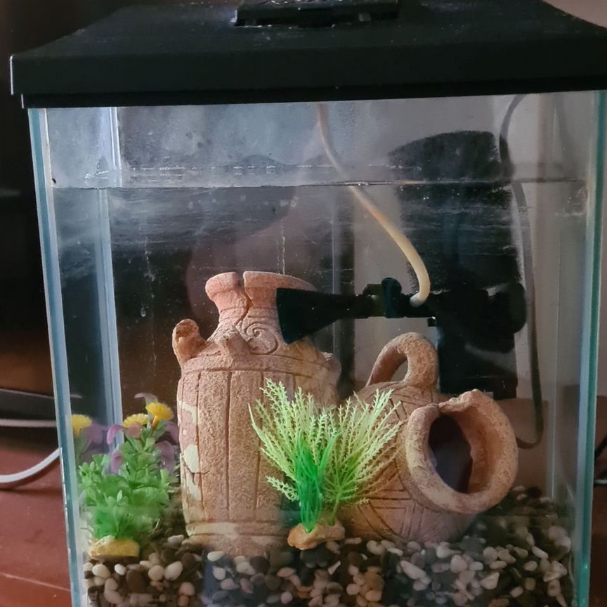 Аквариум с украшениями