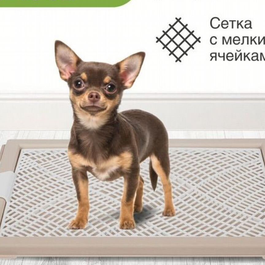 Лоток для собаки новый