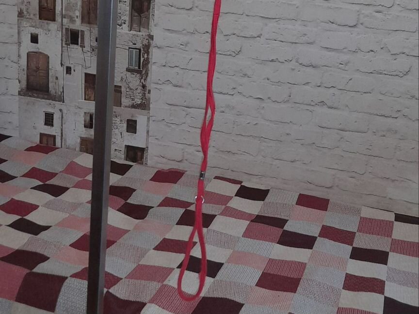 Висилица для собак, установка для груминга