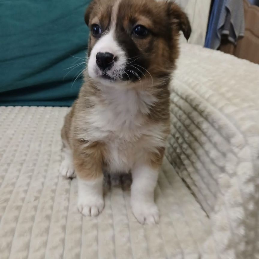 Плюшевая плюшечка Наташа