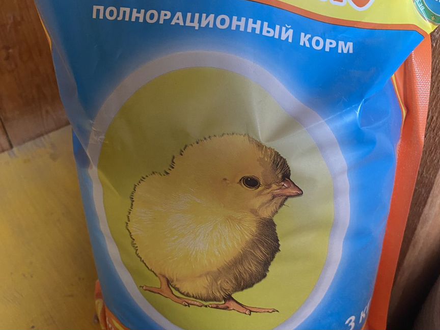 Солнышко для цыплят