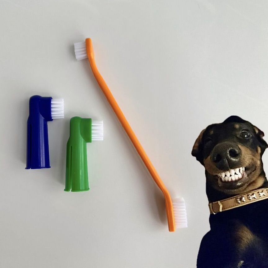 Новая зубная щетка для собаки 3 шт