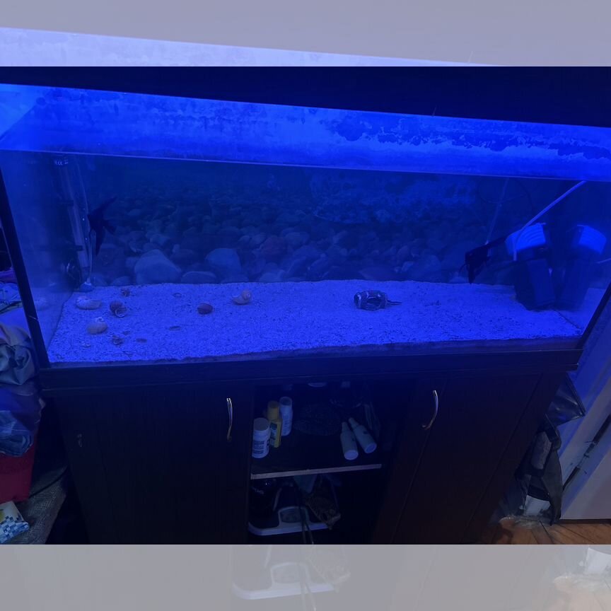 Аквариум на 200 литров с тумбой