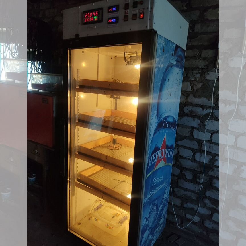 Инкубатор для яиц автоматический бу