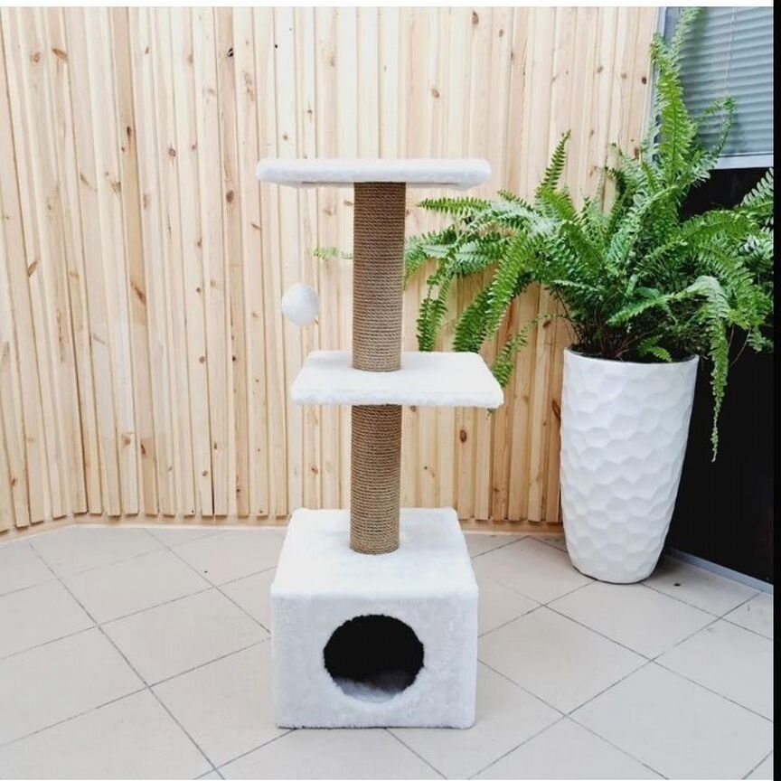 Когтеточка