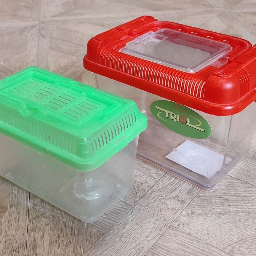 Террариум-переноска