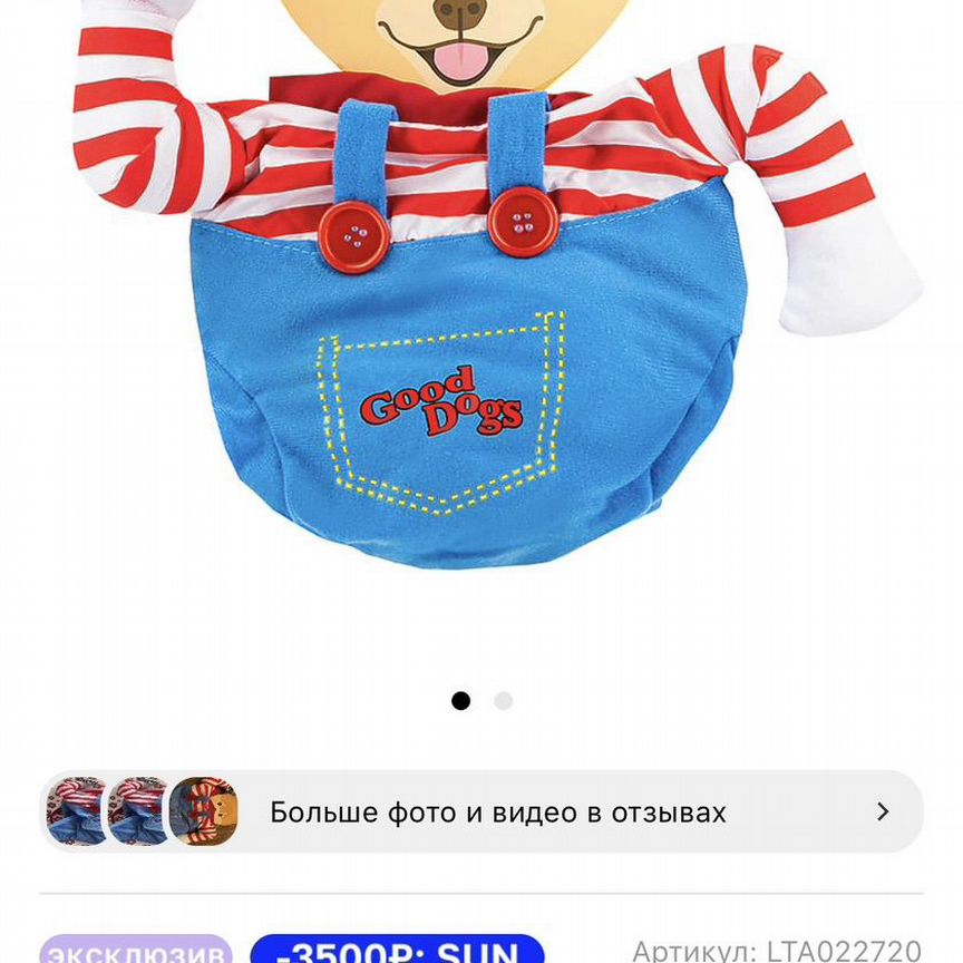 Одежда и аксессуары для котов и собак