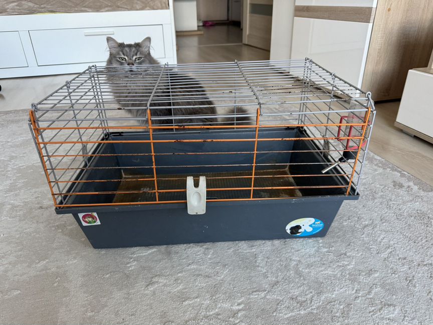 Клетка для грызунов, морской свинки