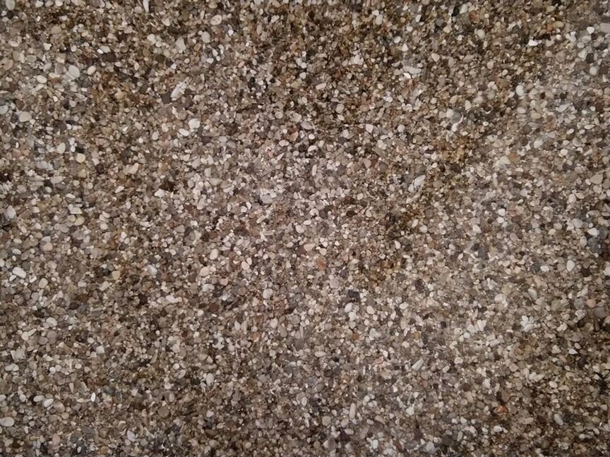 Галька морская