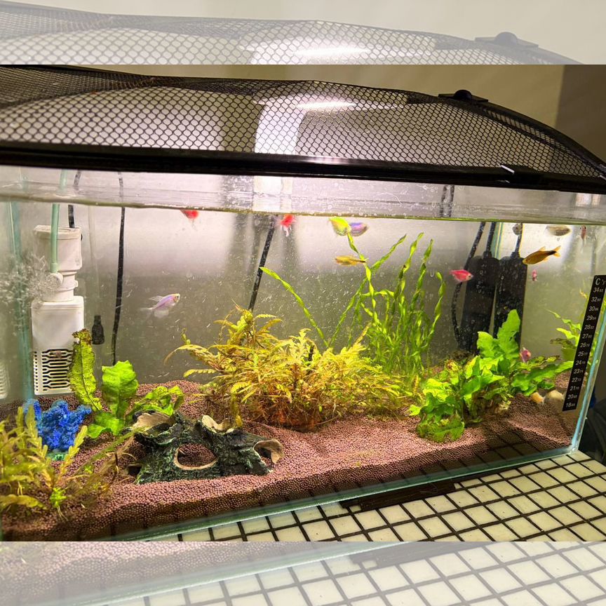 Аквариум с рыбками