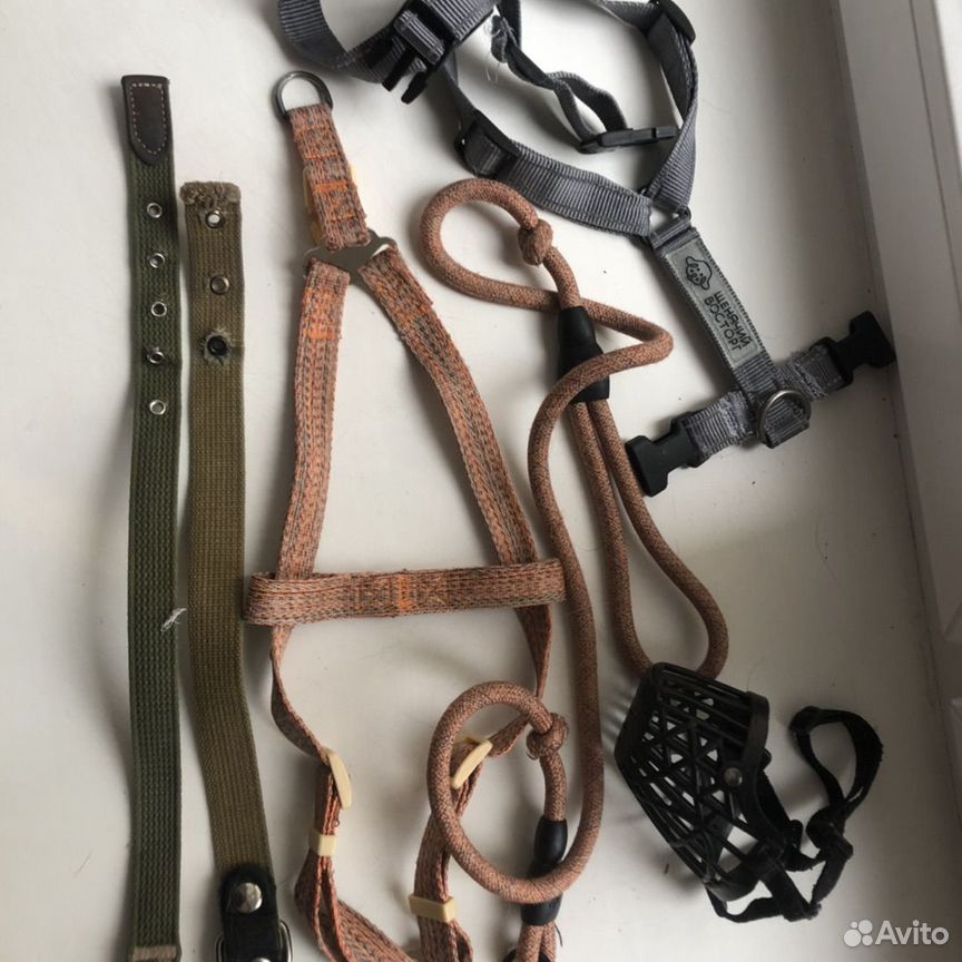 Амуниция для собак средних пород