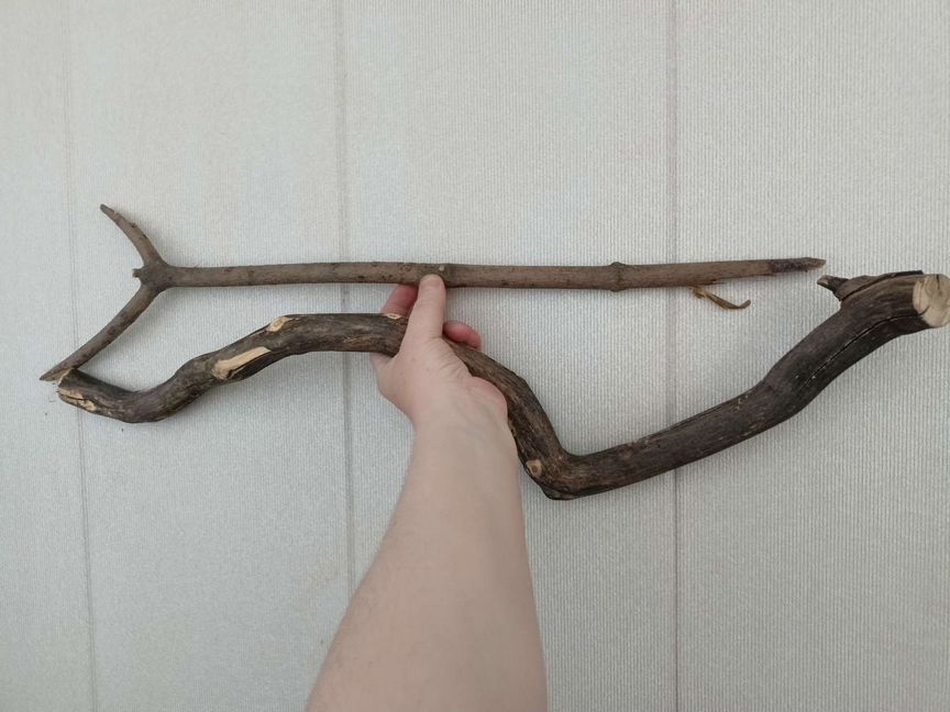 Для аквариума