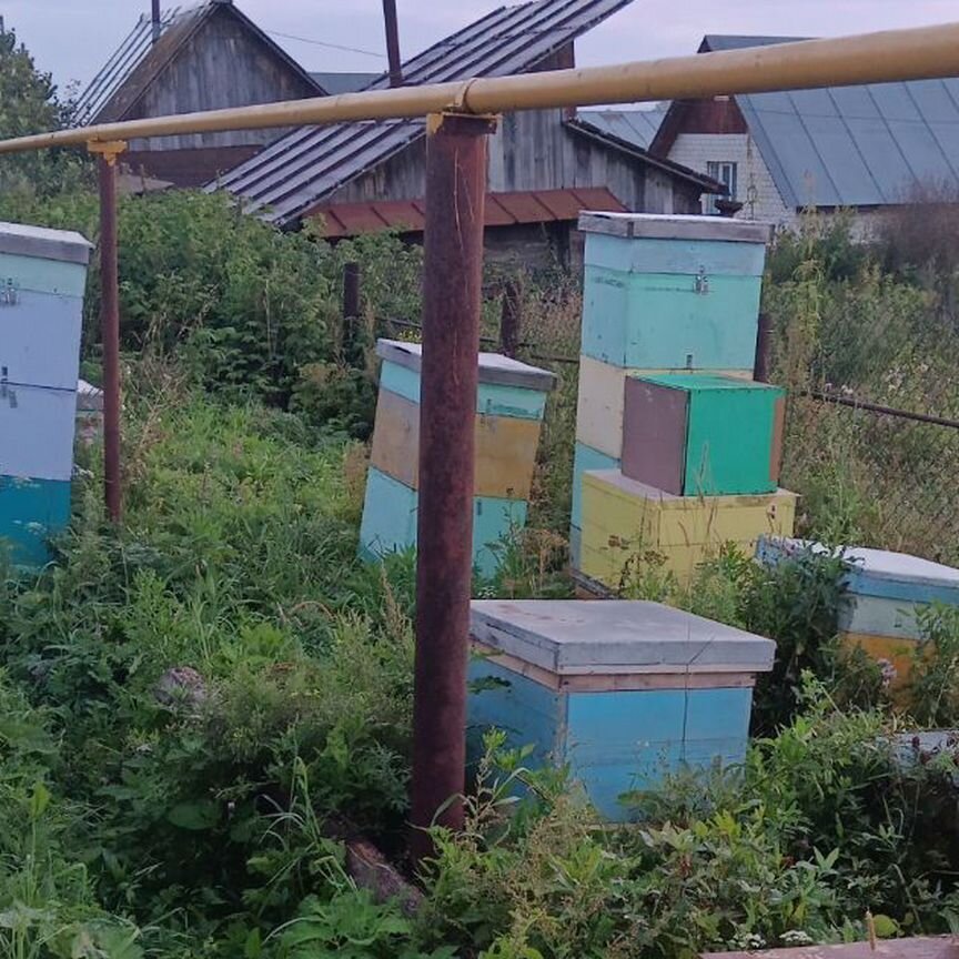 Ульи 12 рамочные бу