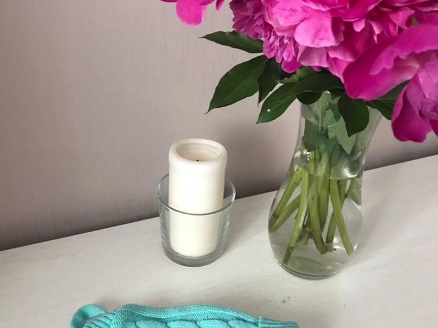 Одежда и обувь для собаки