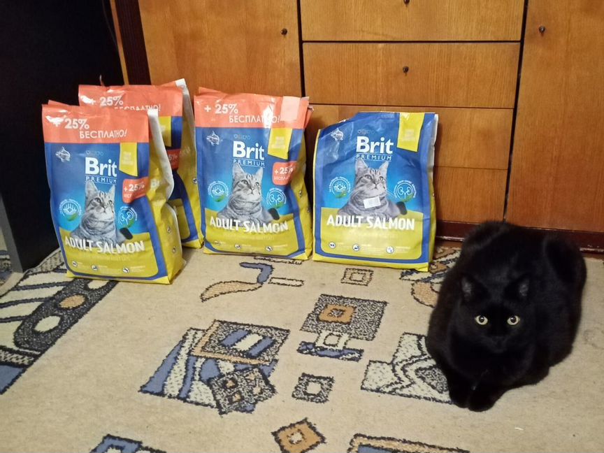 Сухой корм для кошек brit