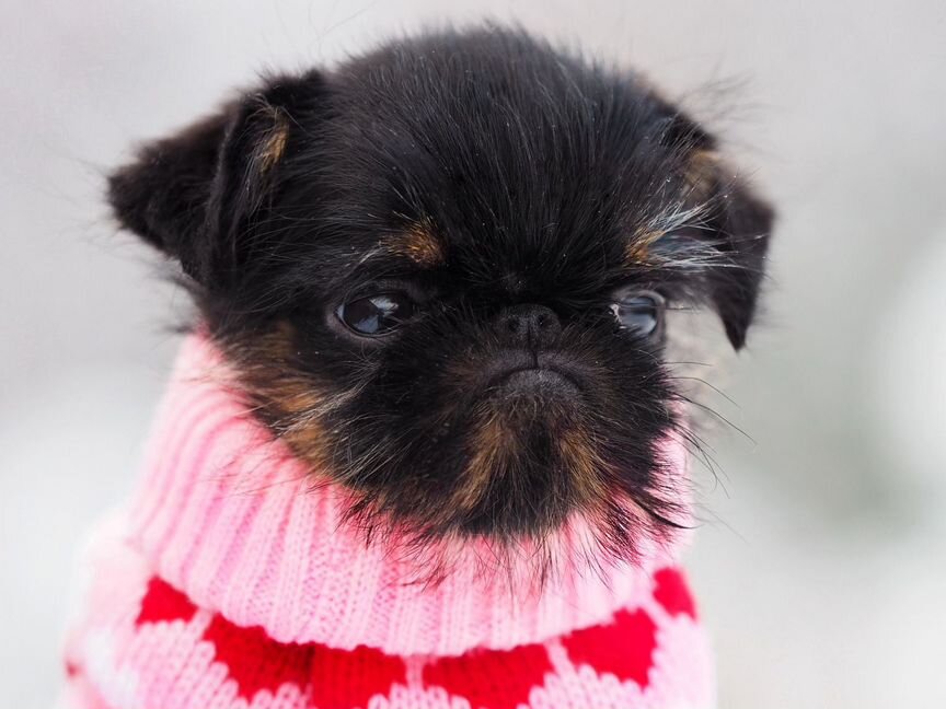 Маленькая куколка