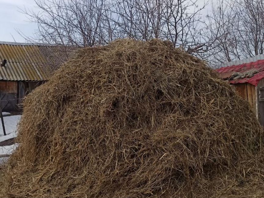 Сено россыпью или в мешках