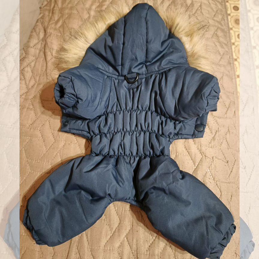 Одежда для маленьких собак s