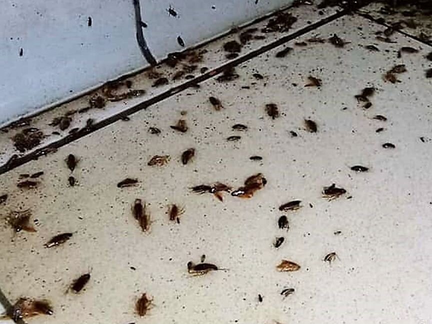 Средство от тараканов