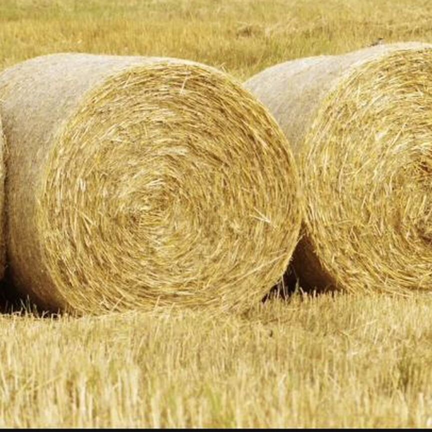 Солома ячменная в рулонах