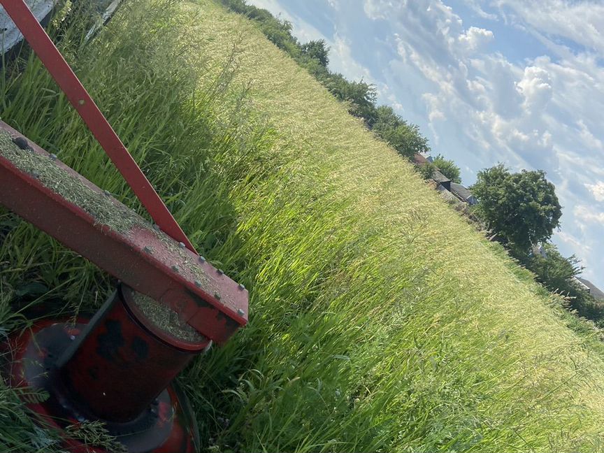 Продам сено в рулонах