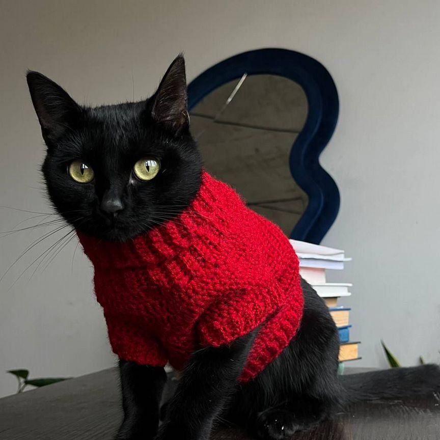 Свитер вязаный для животных