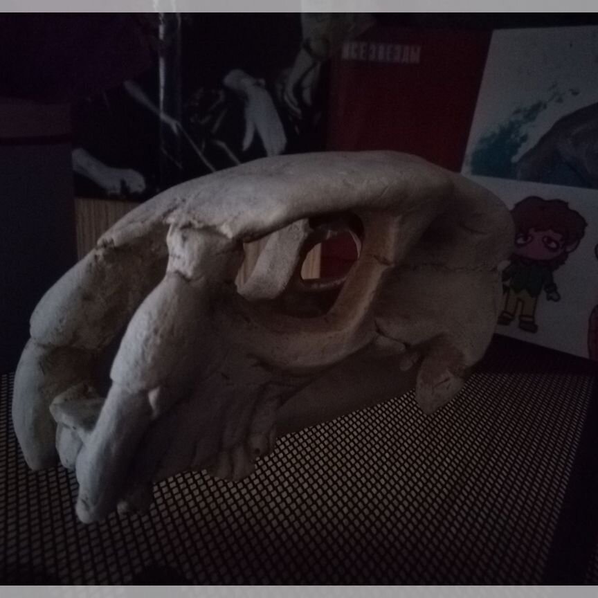 Череп декорация укрытие для террариума