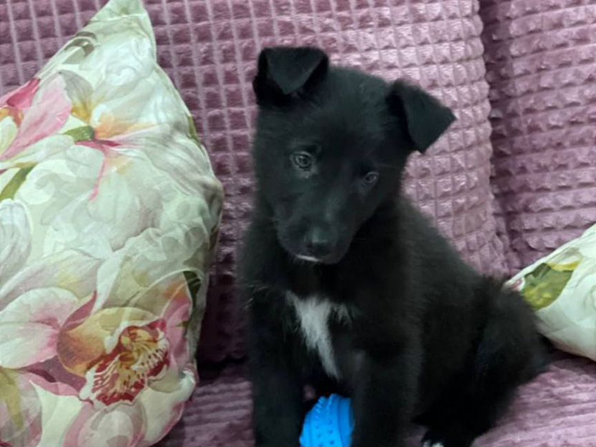 Кирюша 2 месяца