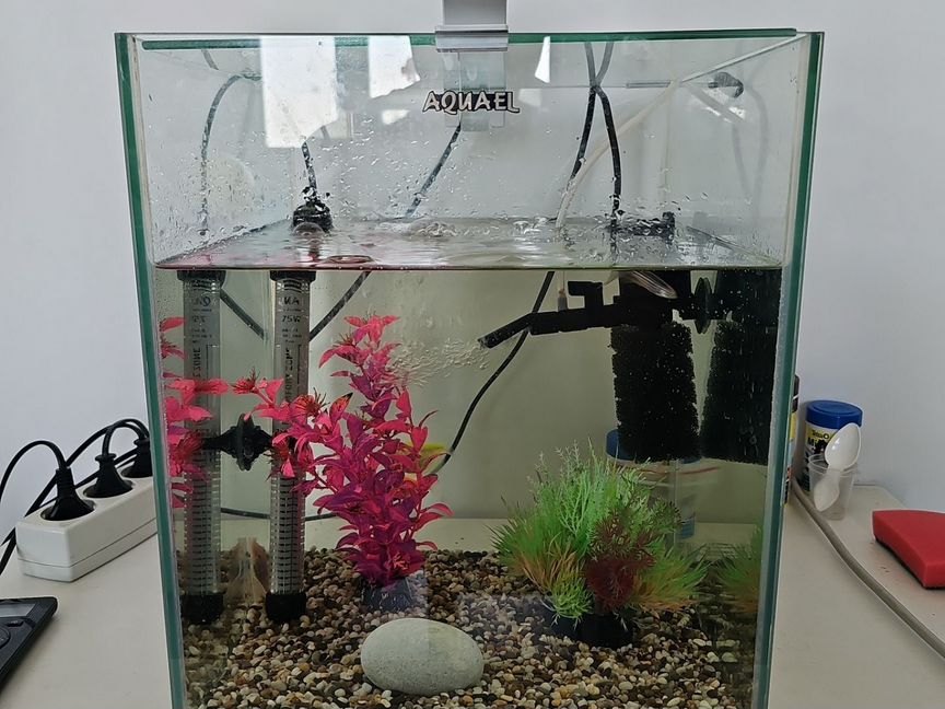 Аквариум с рыбками