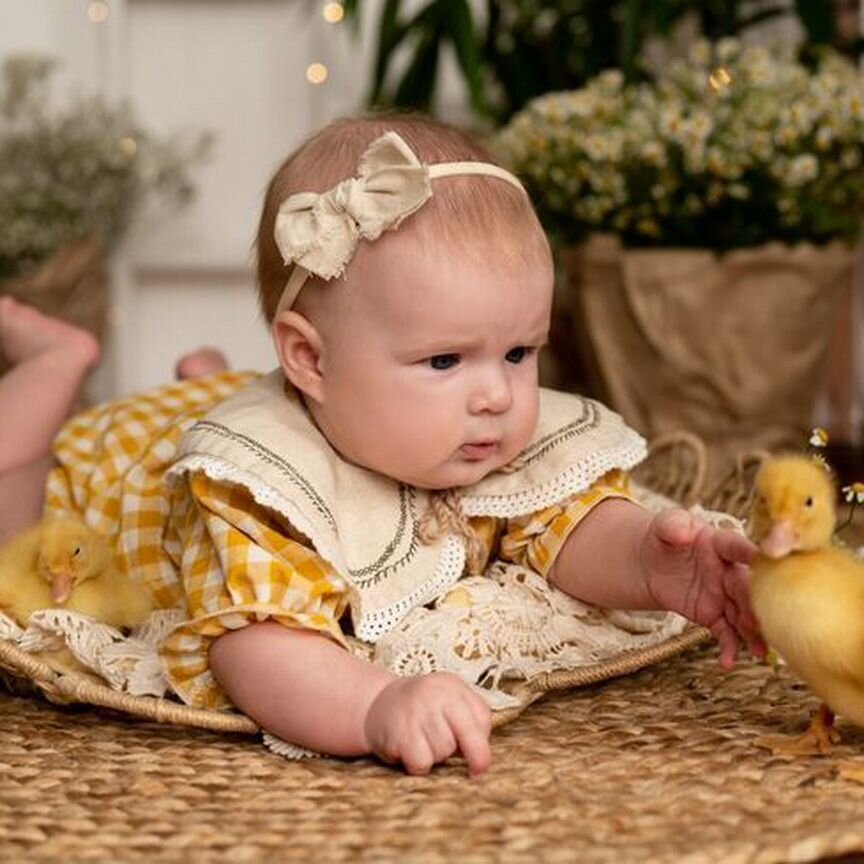 Утята для фотосъёмки