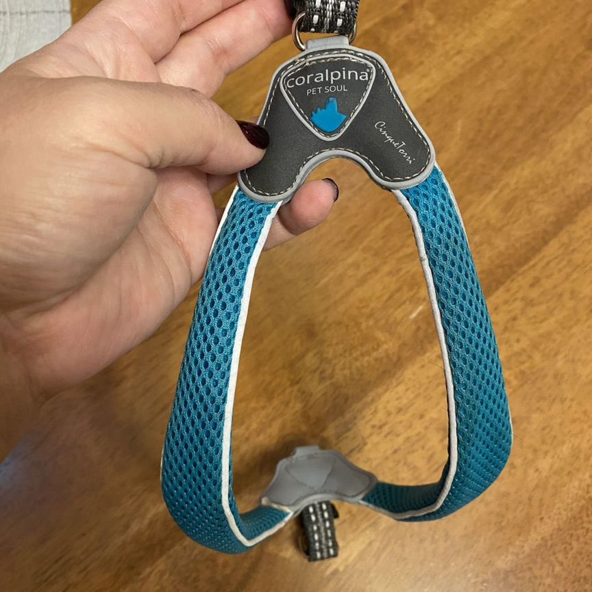 Шлейка для маленькой собаки