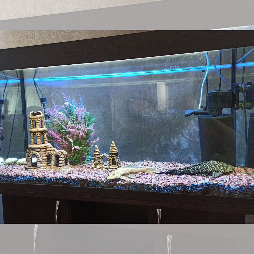 Аквариум с рыбками