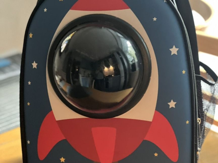 Рюкзак переноска для животных, новый