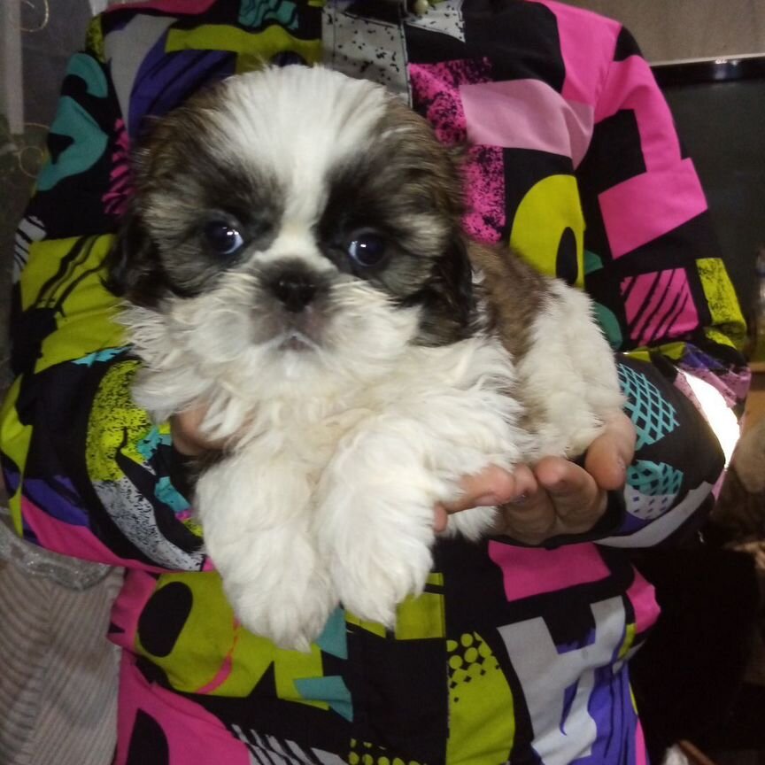 Красотачка