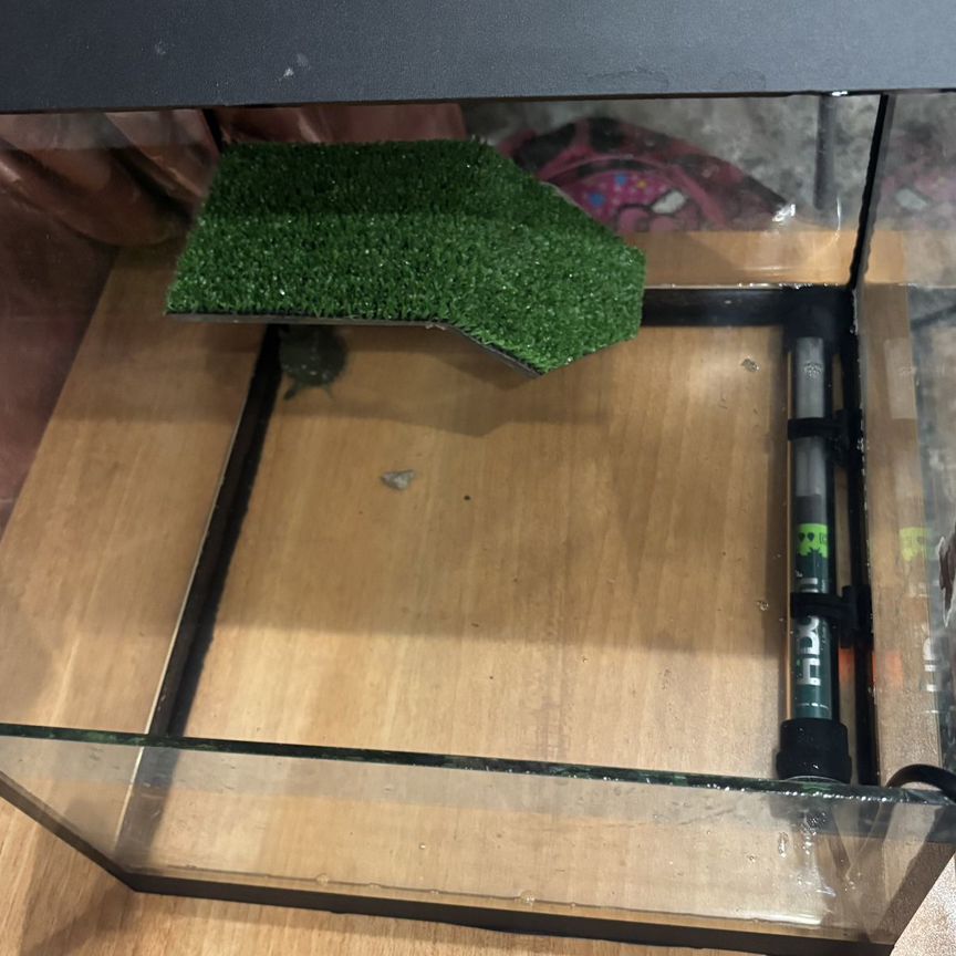 Аквариум для красноухой черепахи