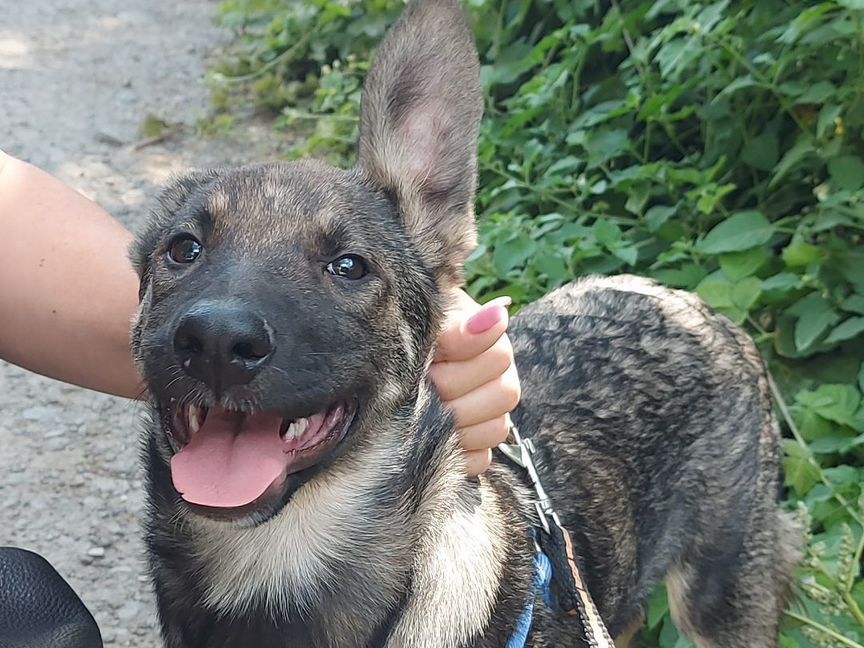 Нежная девочка