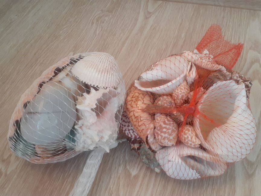 Морские ракушки раковины