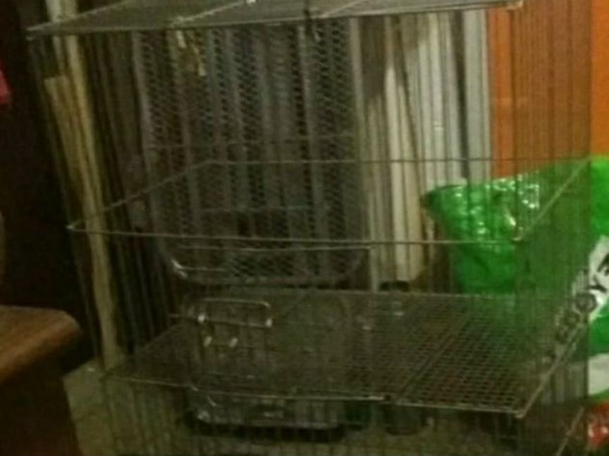 Клетка металлическая