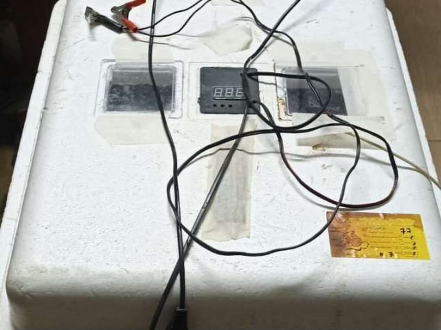 Инкубатор для яиц бу