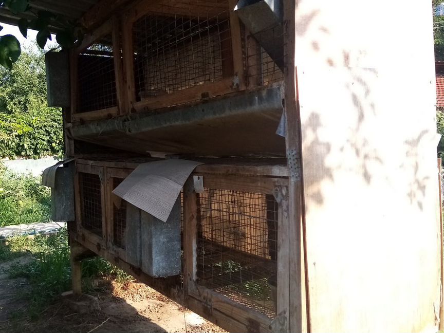 Клетки для кроликов