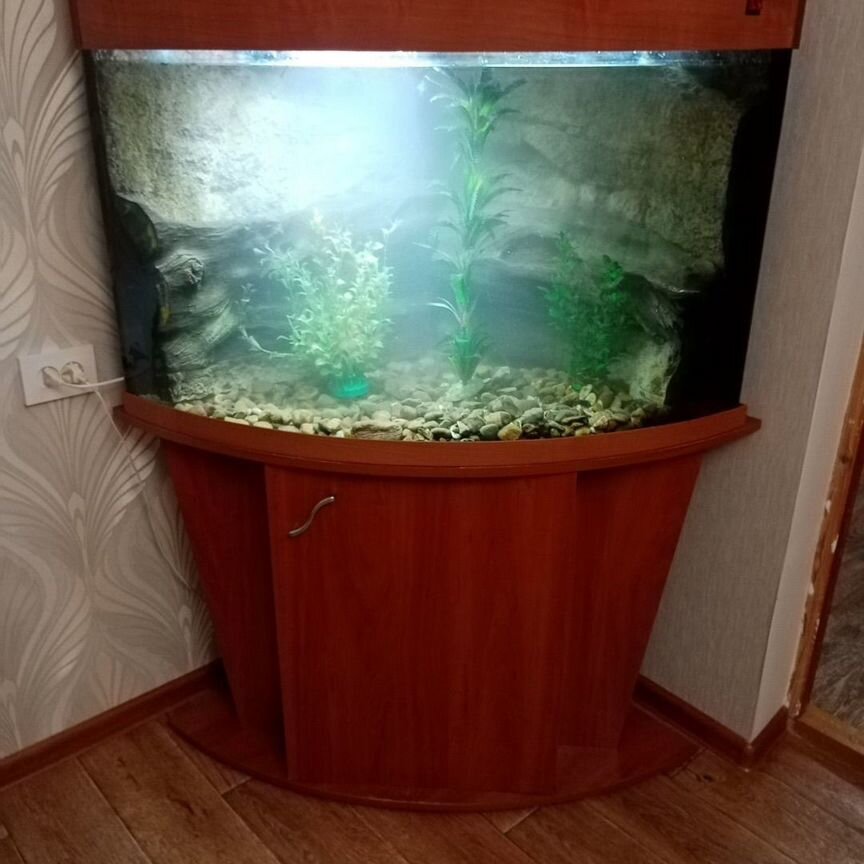 Аквариум 222 литра