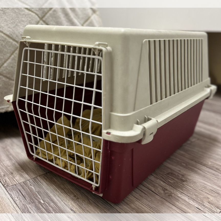 Переноска для животных большая бу