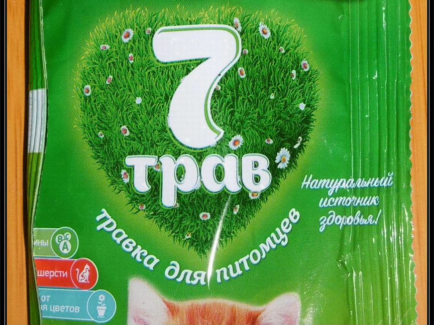 Трава для кошек
