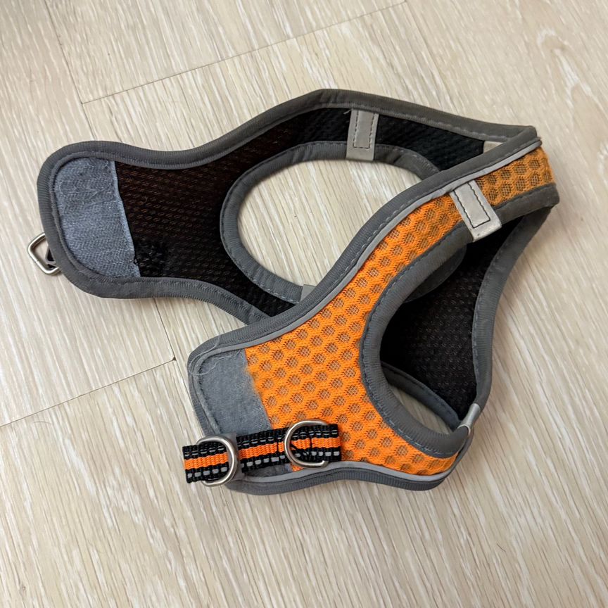 Амуниция/одежда для животных